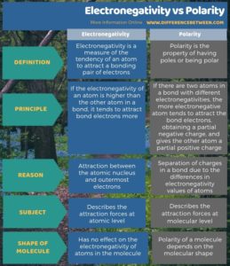 Difference Between Electronegative and Electropositive Elements